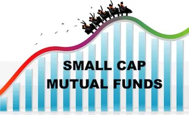 Small Cap Mutual Funds: Check Portfolio & Returns