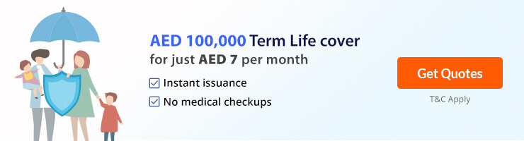 Term Insurance: Buy Best Term Life Insurance Plans 2023 Dubai, UAE